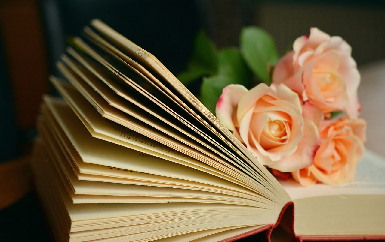 Exploring the Literary World of Lauren Roberts: The Author of ‘Powerless’